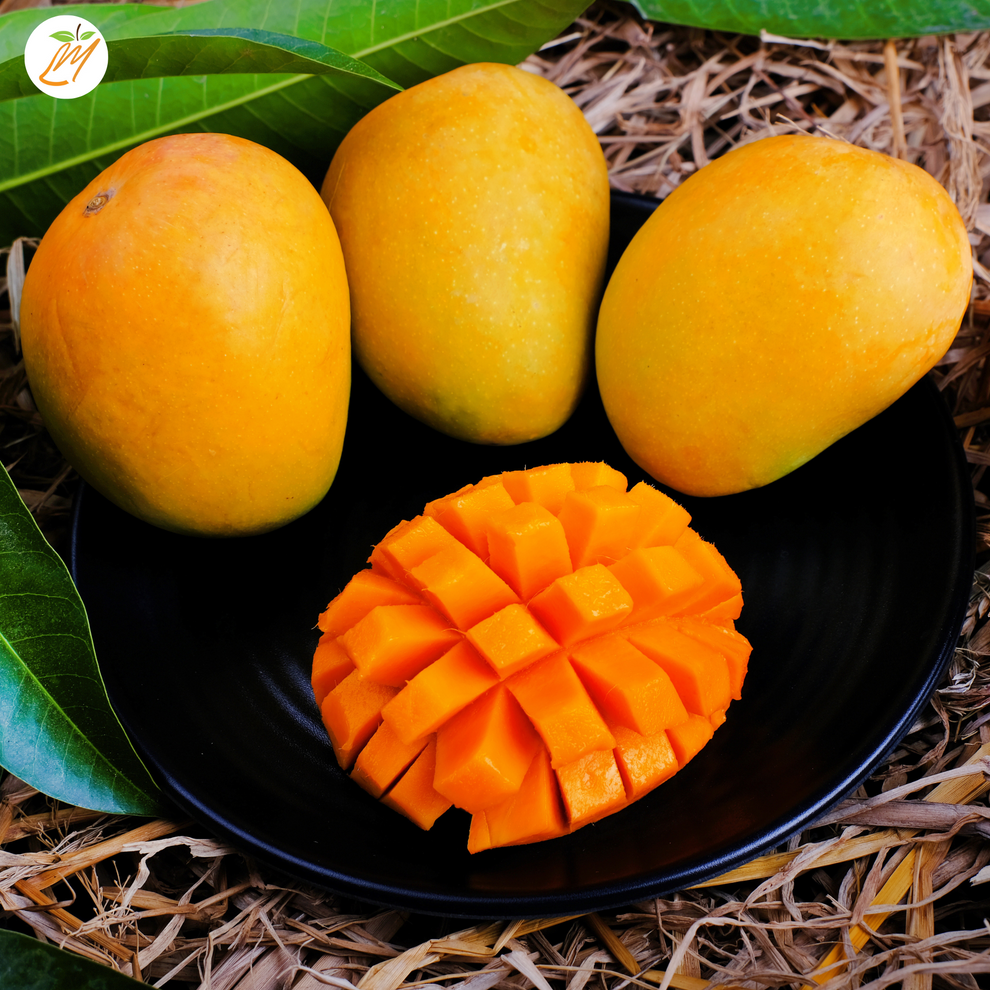 Alphonso Mangoes – Mango Mania US