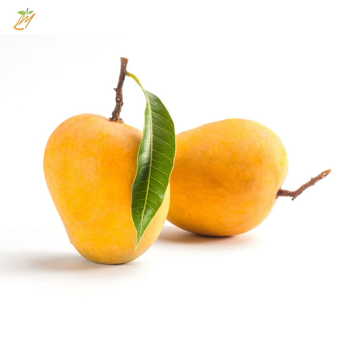 Alphonso Mangoes – Mango Mania US