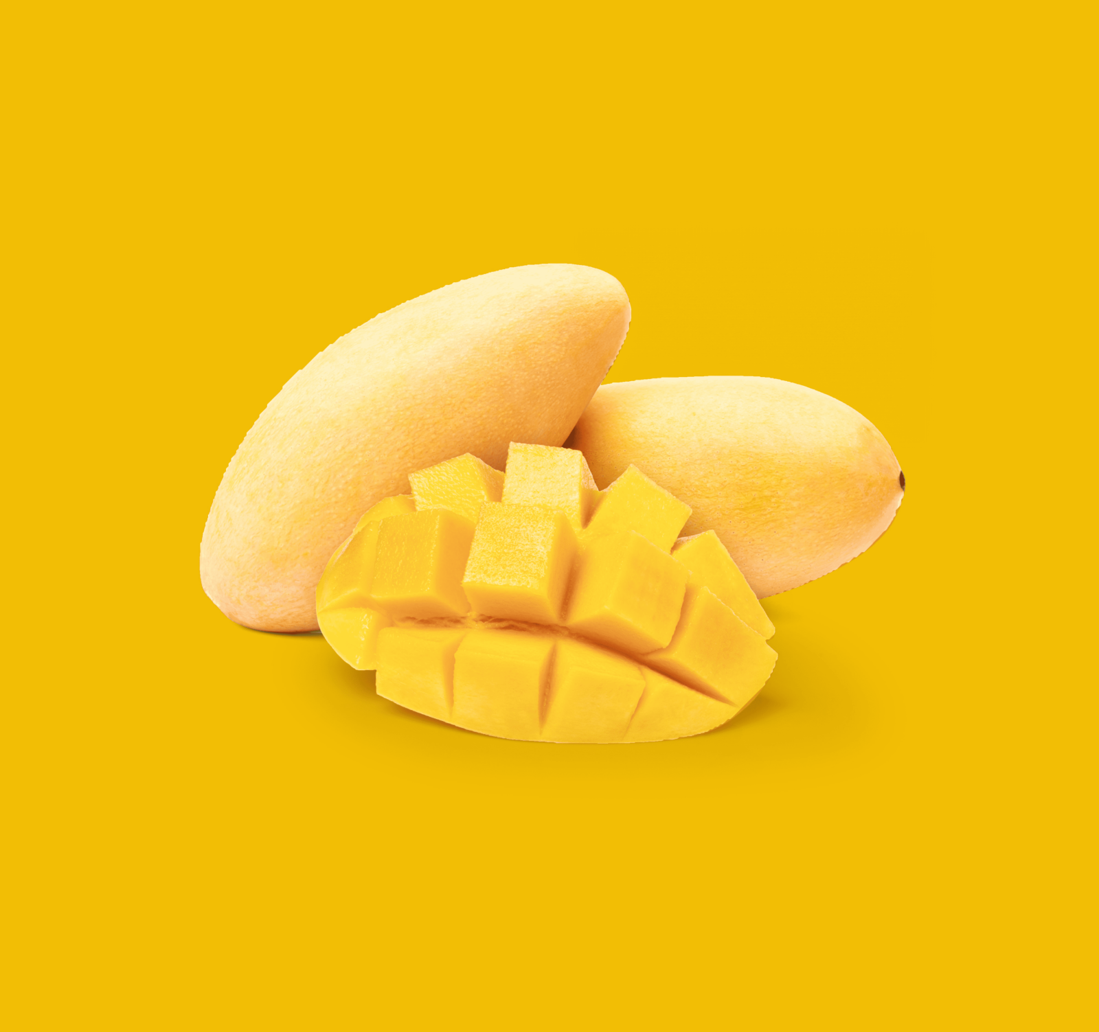 Kesar Mangoes – Mango Mania US